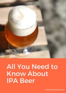All You Need to Know About IPA Beer