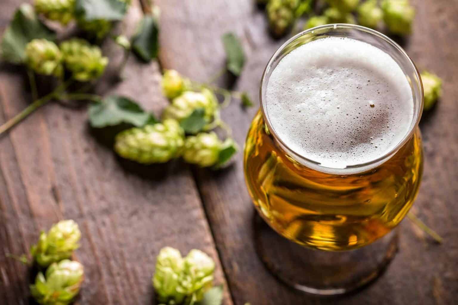 What are Hops in Beer? (Different Types of Hops)