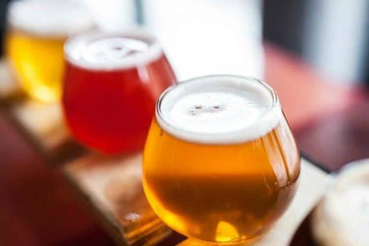 What Does Beer Taste Like? (Here's the Ultimate Answer)