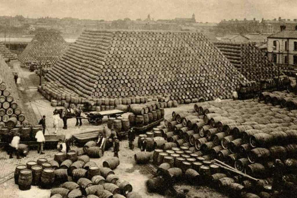 Guinness Beer Guide: History, Varieties, Taste & Nutrition Facts