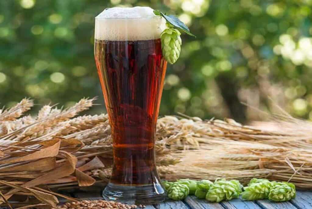 Bock Beer Guide: History, Style, Storage, Serving & Food Pairings