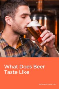 What Does Beer Taste Like? (Here's the Ultimate Answer)