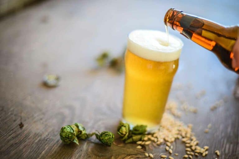 What Is A Beer Ibu? _ IBU in Craft Beer: Top 6 Facts Every Drinker ...