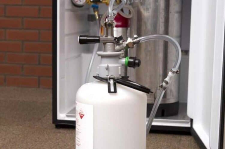 How to Clean a Beer Line? (Step-by-Step Guide)