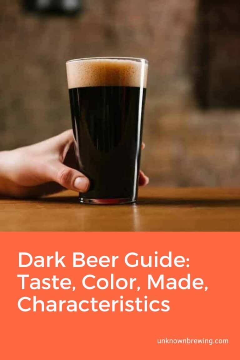 Dark Beer Guide: Taste, Color, Made, Characteristics