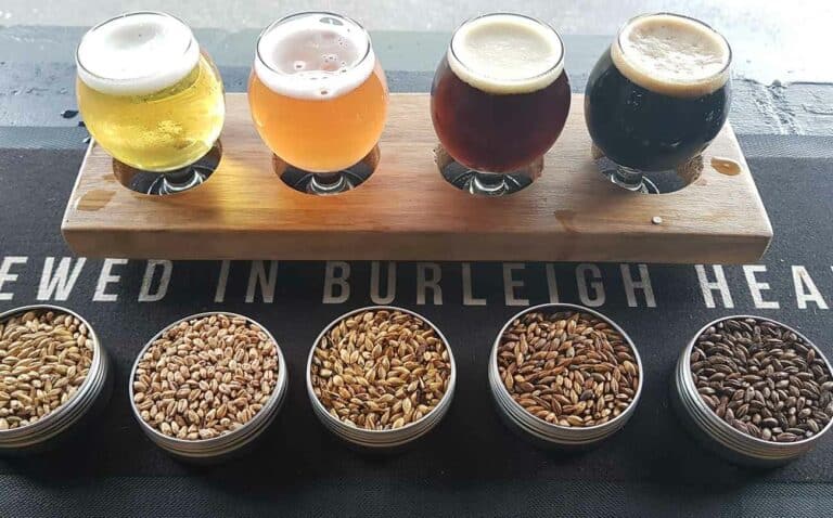 The Great Beer Color Guide: What Is SRM in Beer?