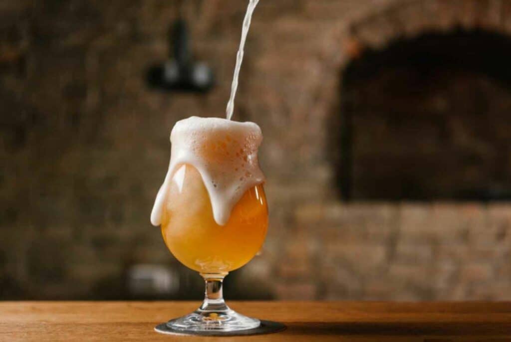 Gose Beer Guide: History,Taste, Type, Made, Serving