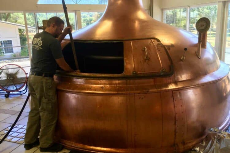 Gose Beer Guide: History,Taste, Type, Made, Serving