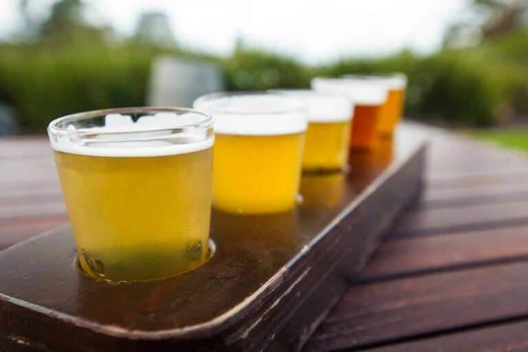 The Great Beer Color Guide: What Is SRM in Beer?