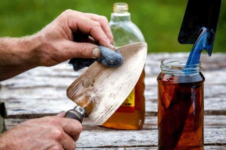 9 Best Ways to Use Old Beer