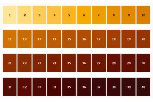 The Great Beer Color Guide: What Is SRM in Beer?