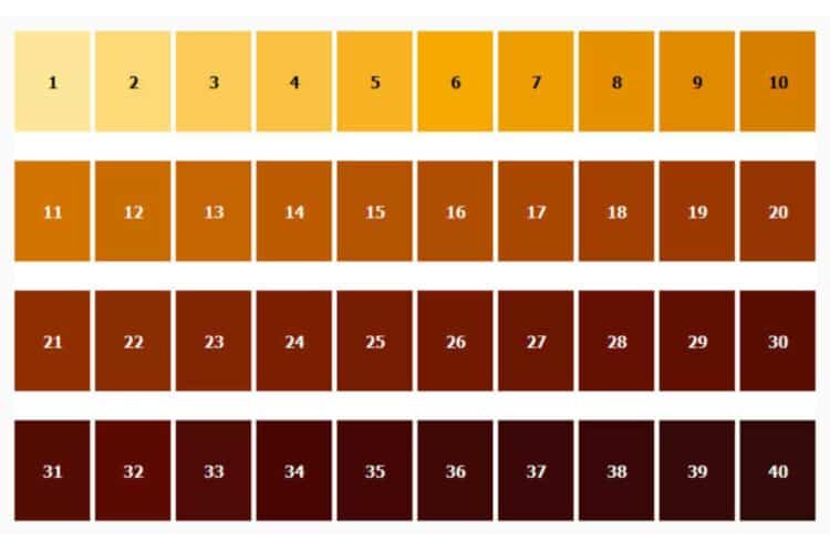 The Great Beer Color Guide: What Is SRM in Beer?