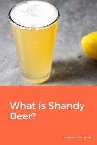 What is Shandy Beer? (With 19 Best Refreshing Recipes)
