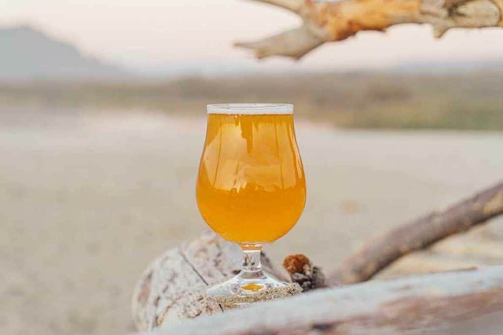 Saison Beer Guide: Style, History, Flaver, Made & Serving Tips