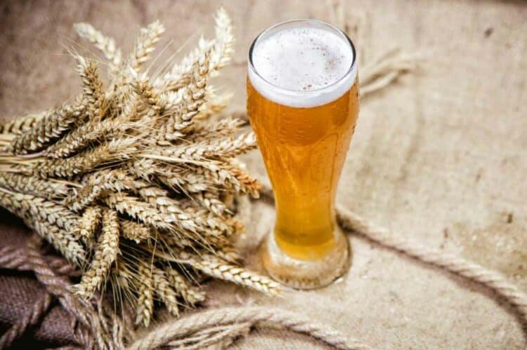 Wheat Beer Guide: History, Characteristic, Type & Made