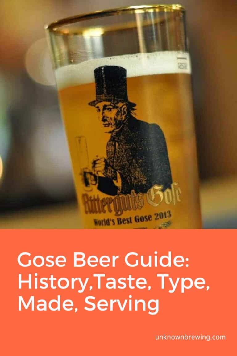 Gose Beer Guide: History,Taste, Type, Made, Serving