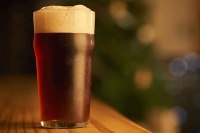 20 Most Popular Beer Styles (Color, ABV, IBU)