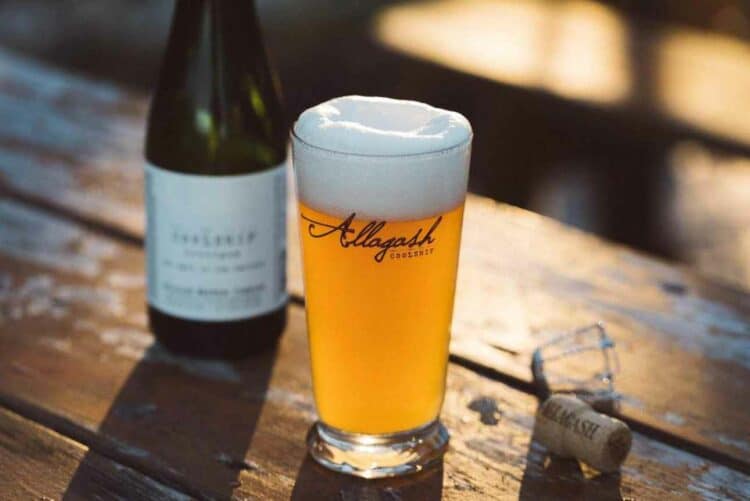 20 Most Popular Beer Styles (Color, ABV, IBU)