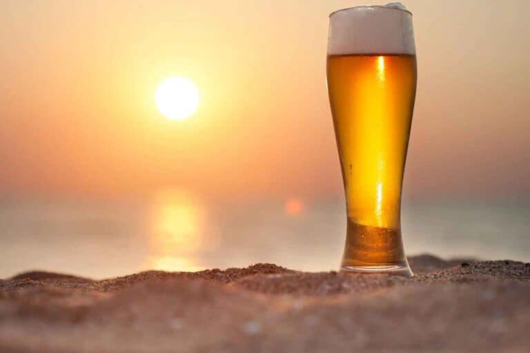 20 Most Popular Beer Styles (Color, ABV, IBU)
