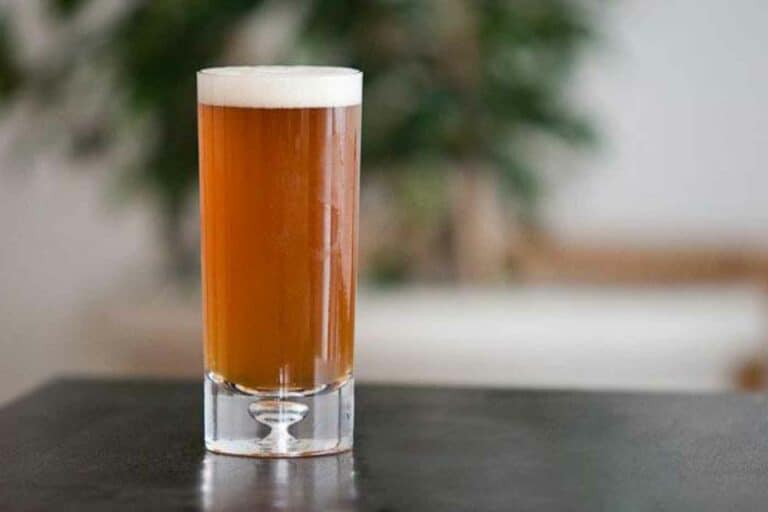 20 Most Popular Beer Styles (Color, ABV, IBU)