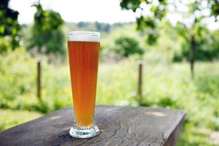 20 Most Popular Beer Styles (Color, ABV, IBU)