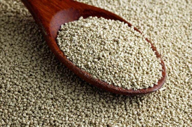 4 Main Types of Yeasts in Brewing