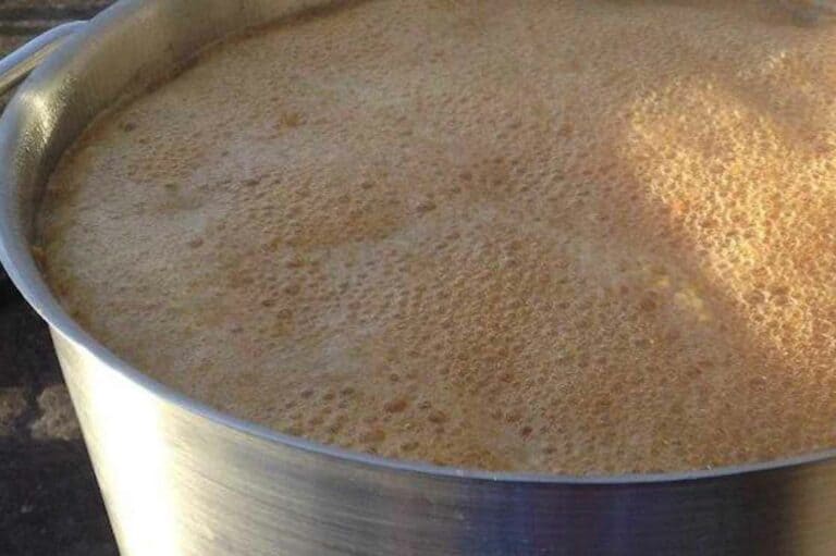 How is Beer Made in 6 Steps?