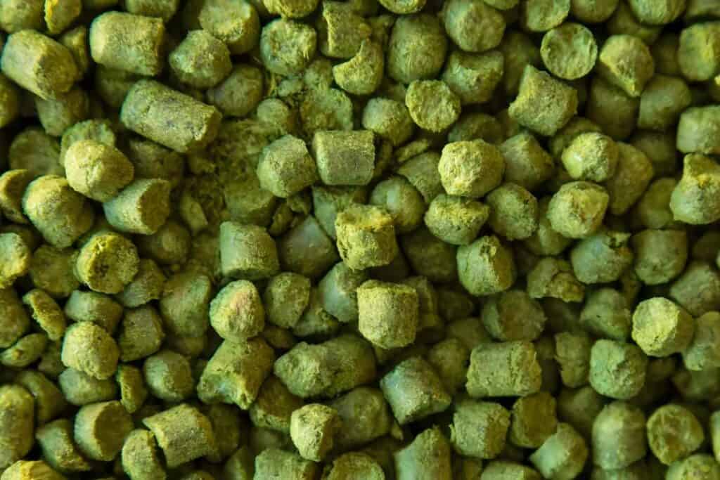 What is Dry Hopping? (The Art in Beer Brewing)