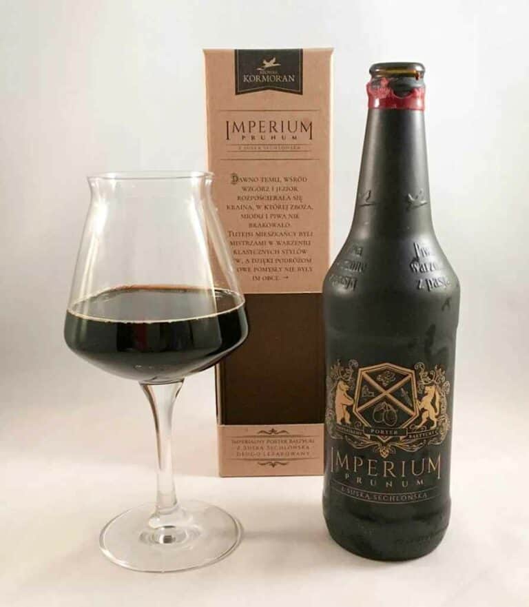 Top 13 Must-Try Polish Beers for the Ultimate Drinking Experience