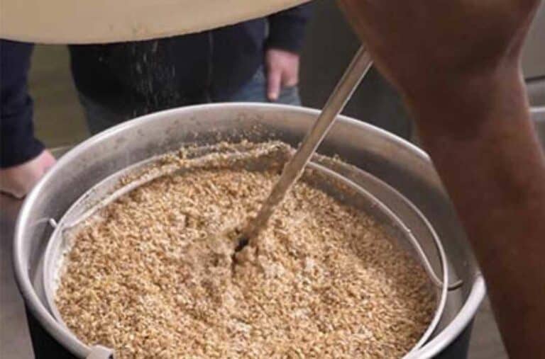 How is Beer Made in 6 Steps?