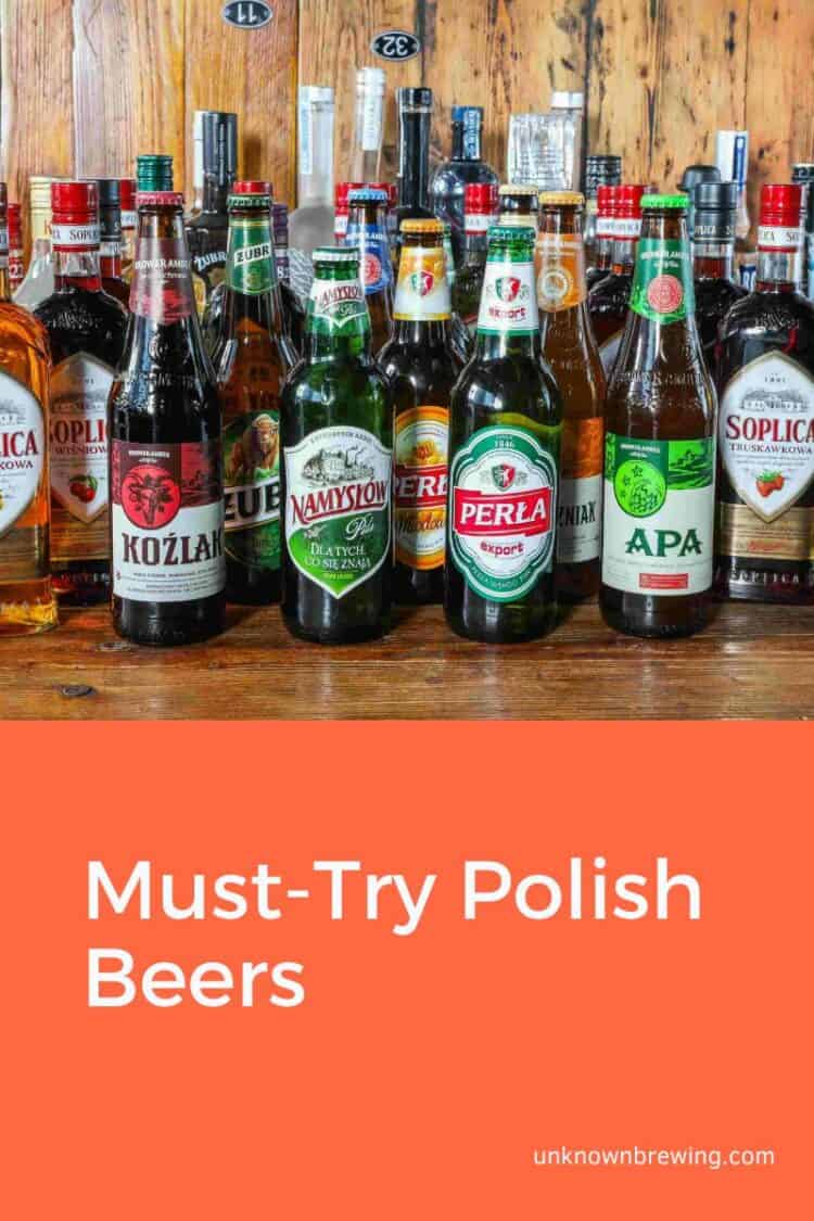 Top 13 Must-Try Polish Beers for the Ultimate Drinking Experience