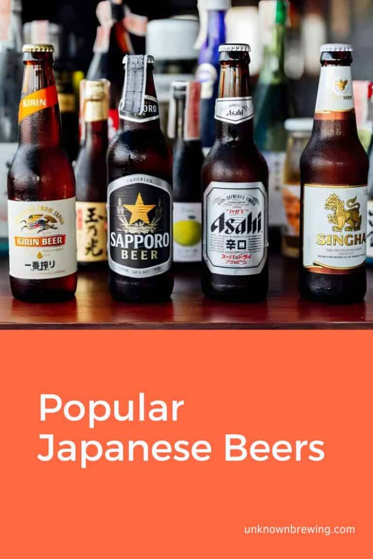 Top 16 Popular Japanese Beers to Try Out in 2024