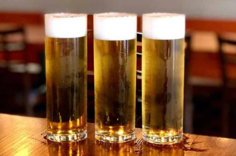 8 Beer Glass Types And Their Beer Pairings (Beer Glass Guide)