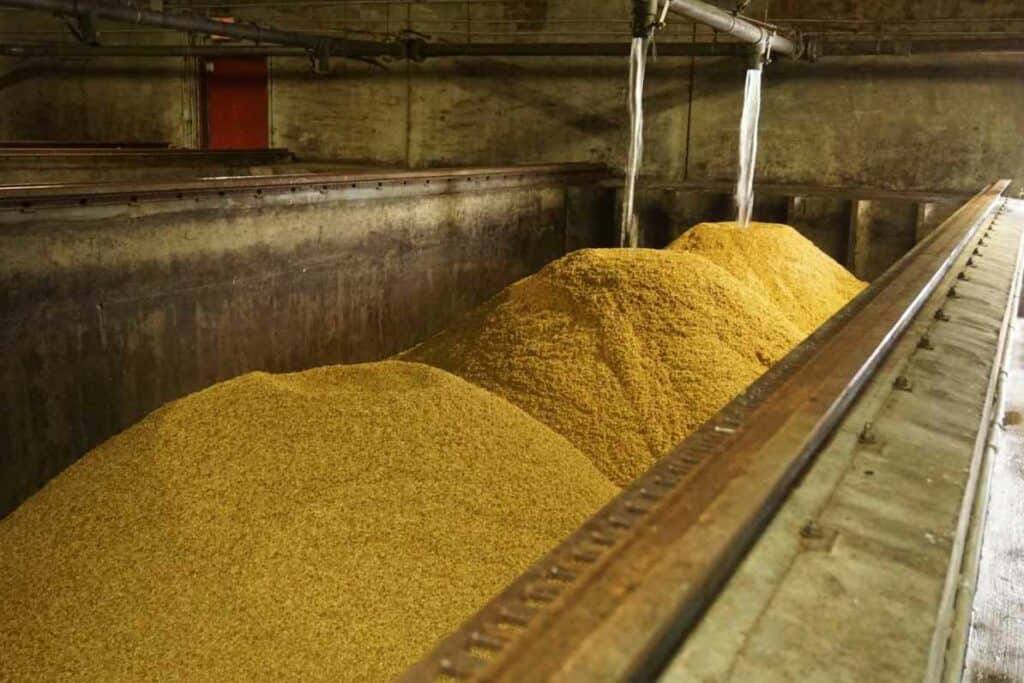 How is Beer Made in 6 Steps?