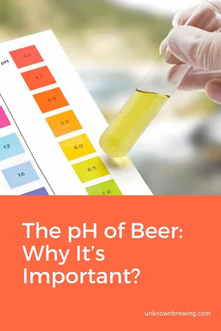 The pH of Beer: Why It’s Important?