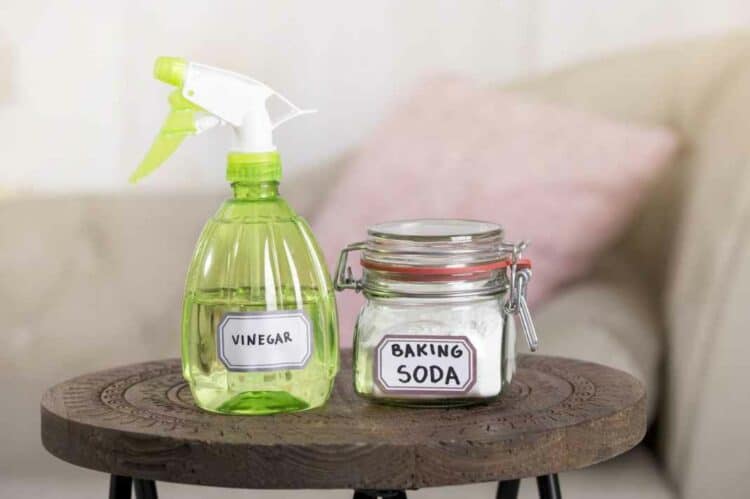 5 Methods to Clean Beer Bottles