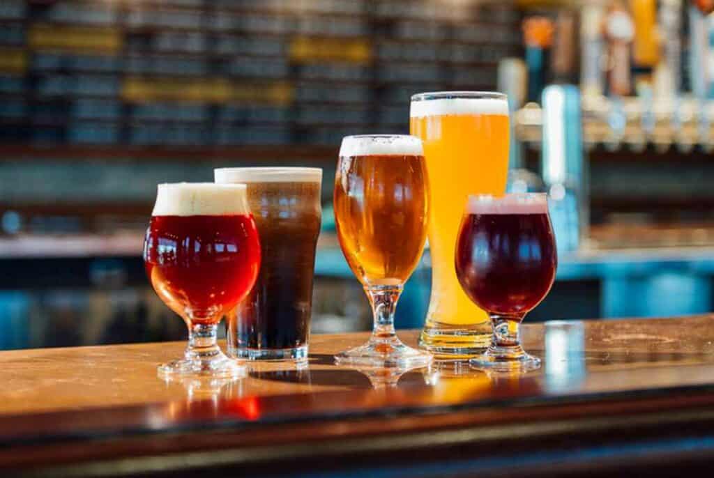 8 Beer Glass Types And Their Beer Pairings (Beer Glass Guide)