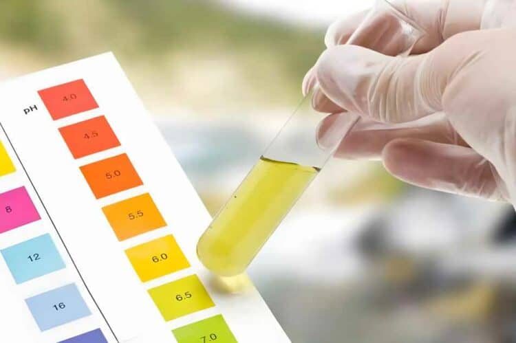 The pH of Beer: Why It’s Important?