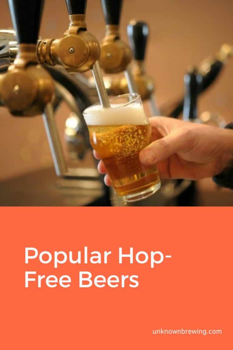 10 Popular Hop-Free Beers: Hopless Beers Worth Tasting