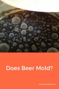 Does Beer Mold? (Identifying & Prevention)