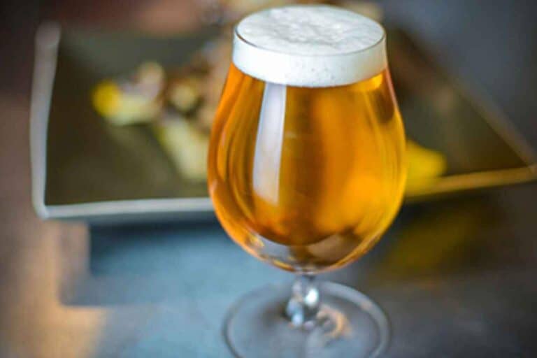 10 Popular Hop-Free Beers: Hopless Beers Worth Tasting