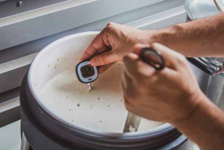 Mastering Mash Temperature: The Key to Brewing Success