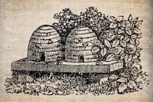 Metheglin: What is it, and How Do You Make it?