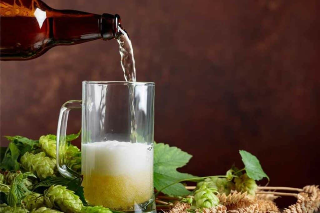 Unlocking the Mystery of What Makes Beer Bitter