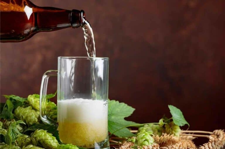 Unlocking the Mystery of What Makes Beer Bitter