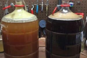 The Ultimate Guide to Fermentation Chamber