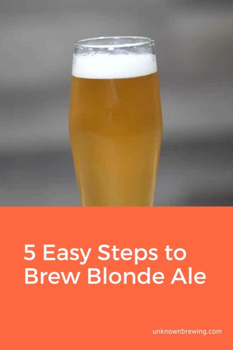 5 Easy Steps to Brew Blonde Ale