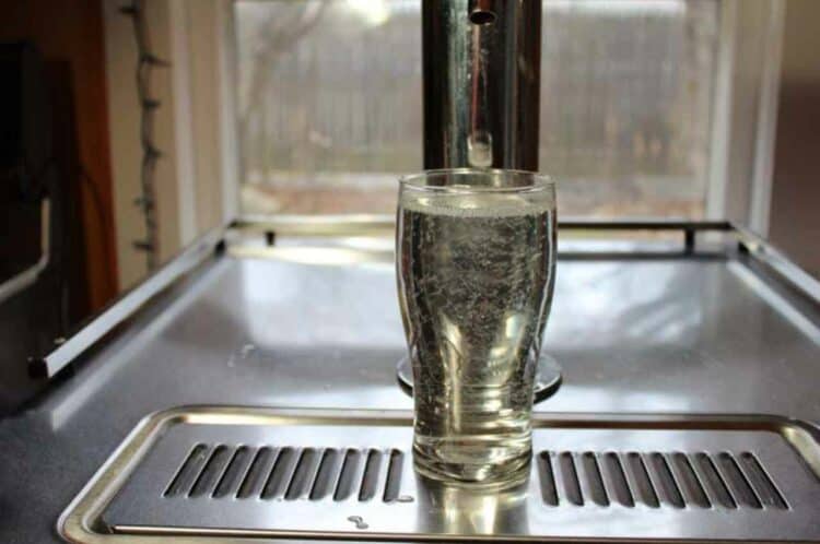 4 Steps to Make Hop Water (Step-by-Step Guide)