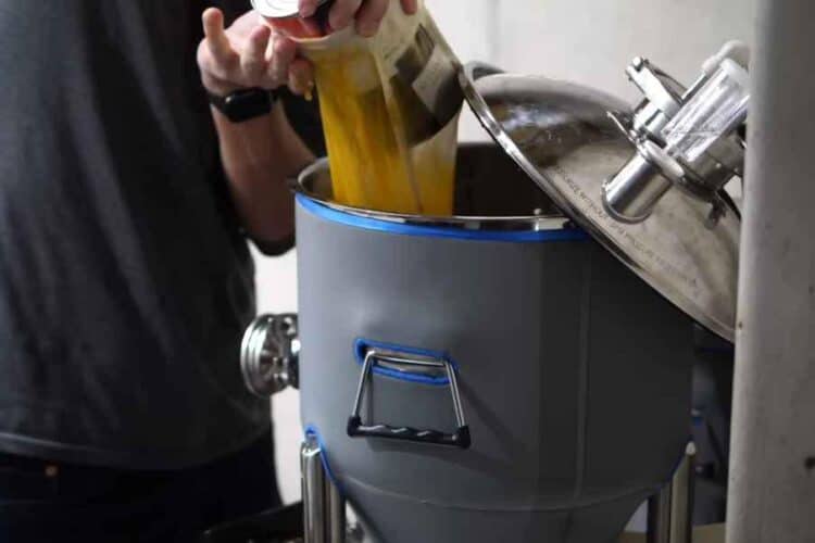 8 Steps To Brew Gose Beer (Step-by-Step Guide)