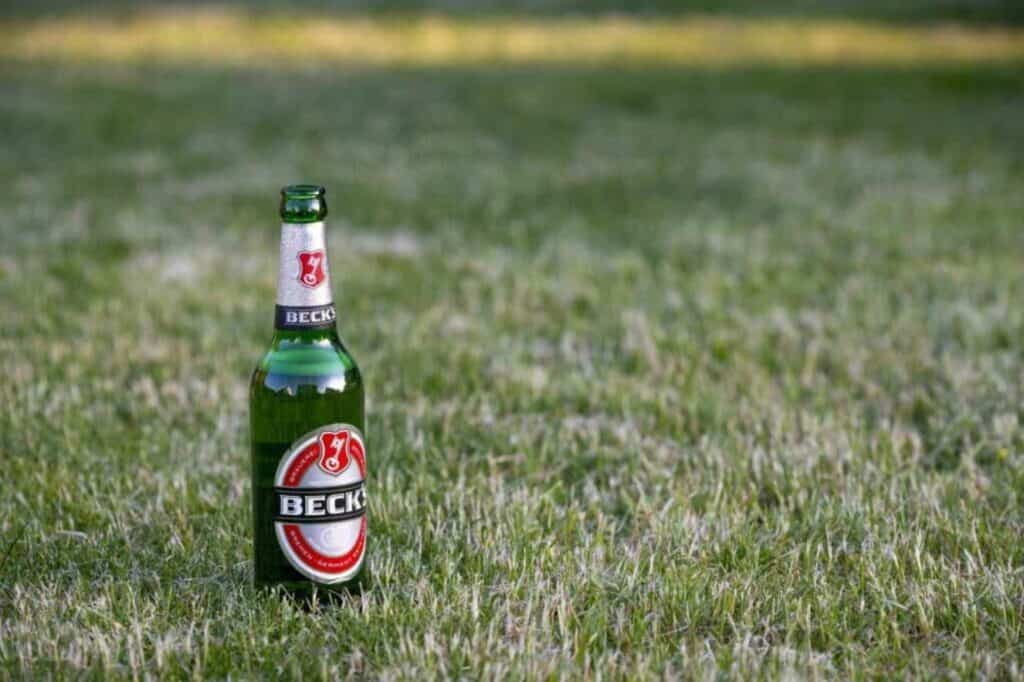 12 Best Beers that Won't Worsen Your Gout